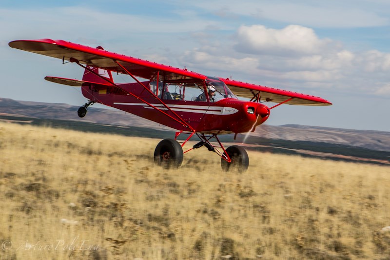 Savage Cub - Přehled letadel - Aeroweb.cz